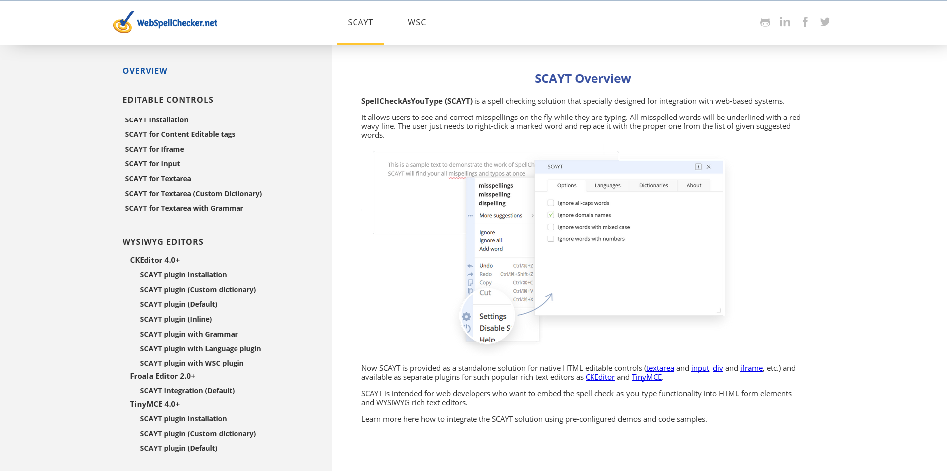 _include_verify_application_operability_samples - Includes - WebSpellChecker Docs